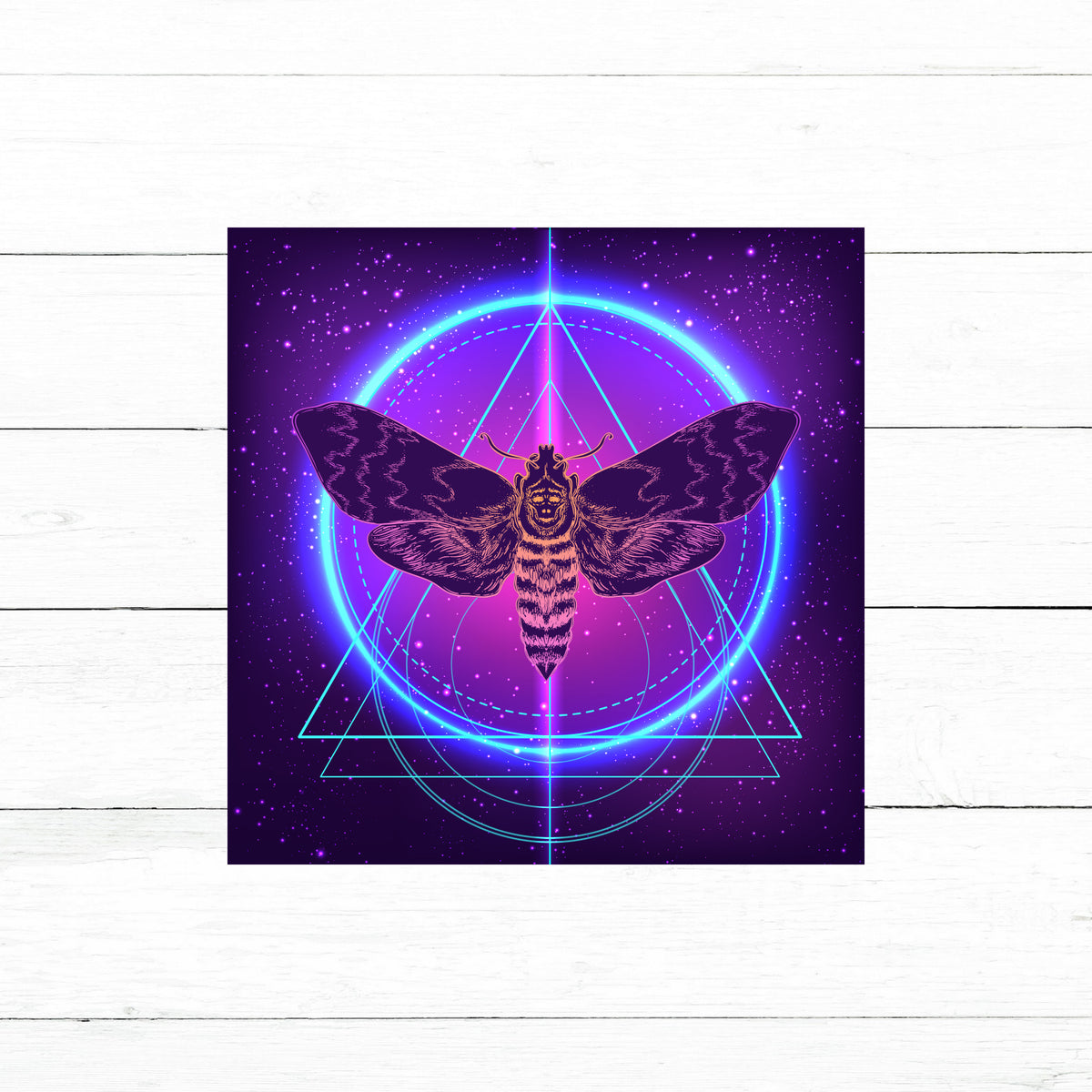 Moth Sticker | Waterproof Vinyl Decal | 3in – CustomStickers.com